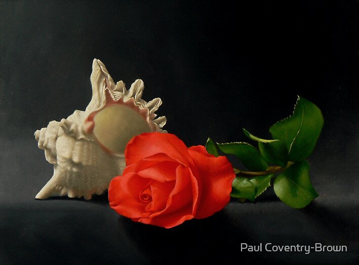 "Rose and Shell" by Paul Coventry-Brown | Redbubble