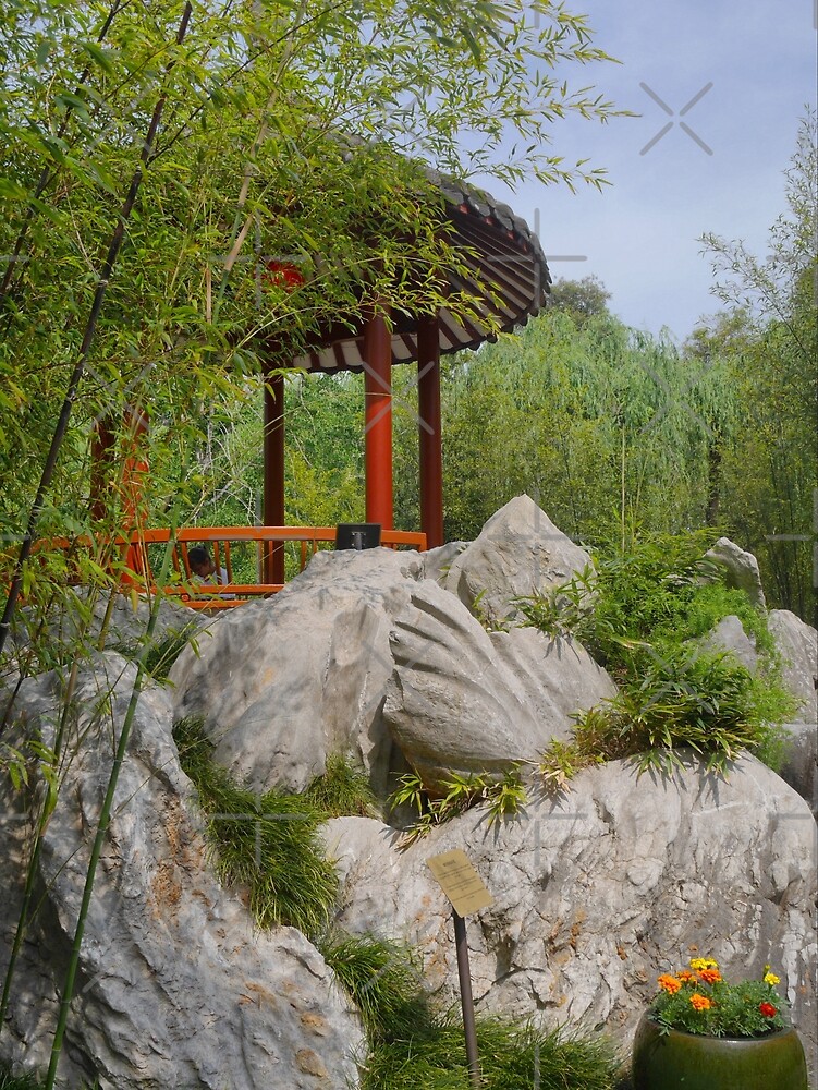 "An Asian Oasis ( 18 ) Bamboo & Rock" by Larry Davis | Redbubble