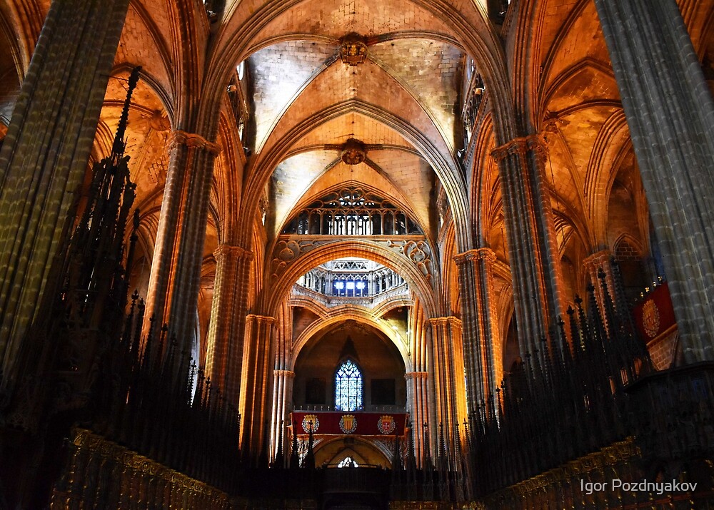 "Cathedral of Saint Eulalia, Barcelona" by Igor Pozdnyakov | Redbubble