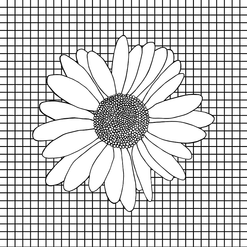 "Daisy Grid" by ProjectM | Redbubble