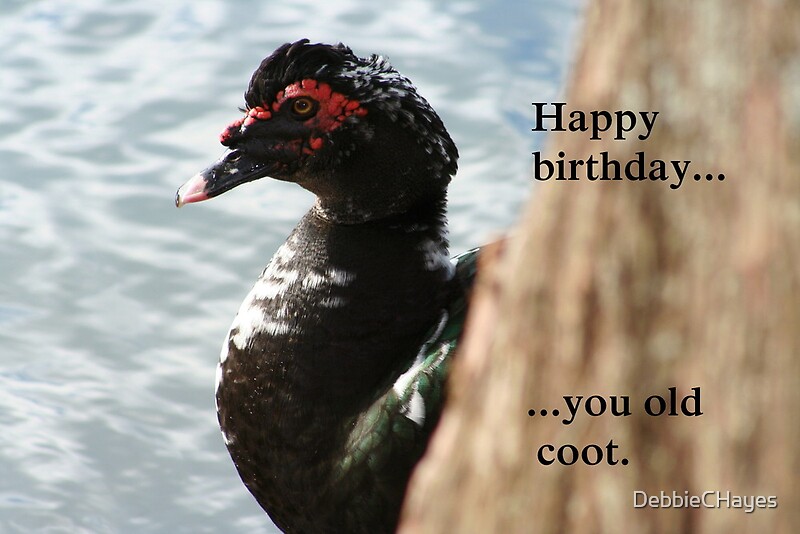 "Happy Birthday..... You Old Coot" by DebbieCHayes | Redbubble