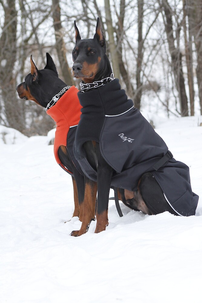 "Dressed for success" by Ian Sprague | Redbubble