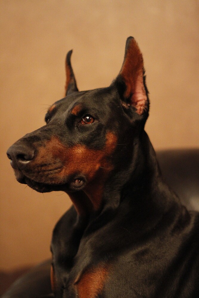 "Intensity" by Ian Sprague | Redbubble