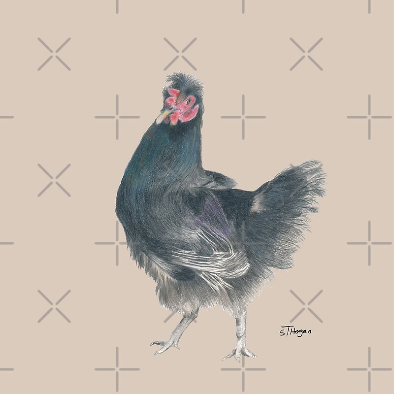 "Black Chook on Pale Brown" by STHoganArtist | Redbubble