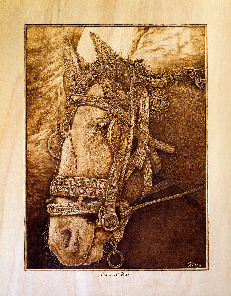 "'Horse at Petra' Pyrography on hoop pine ply" by DavidStanley | Redbubble