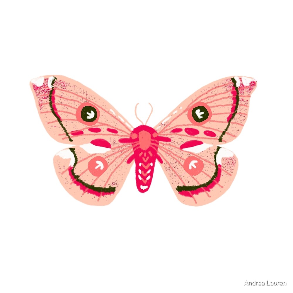 "Pastel pink Moth sticker, moth art, pink moth, lepidoptery, moths ...