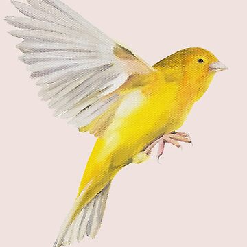 "Canary in Flight" Sticker for Sale by Emily Bickell | Redbubble