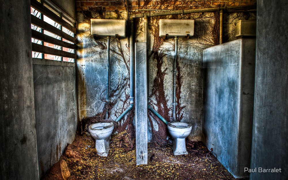 "Two Loo or Not too Loo" by Paul Barralet | Redbubble