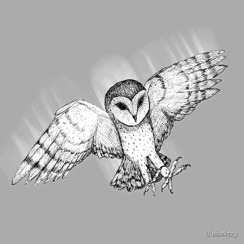 "Attacking barn owl" by Bwiselizzy | Redbubble