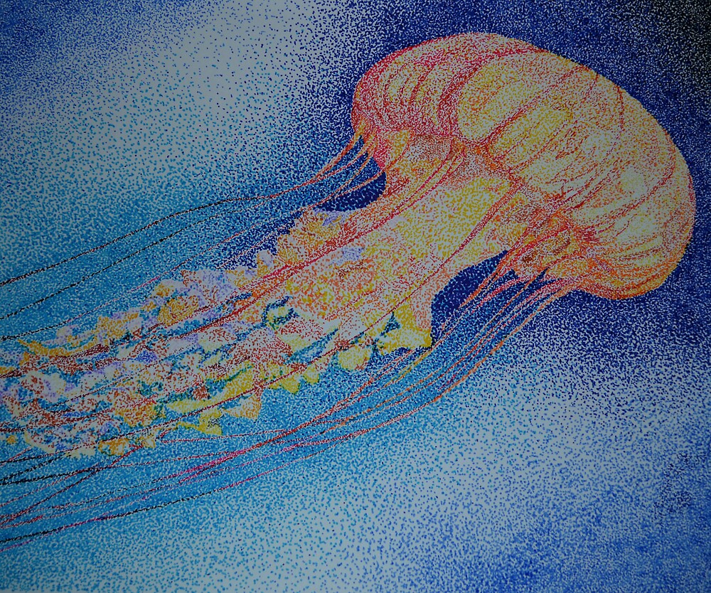 "Pointillist Jellyfish" by Dacey Barnes | Redbubble