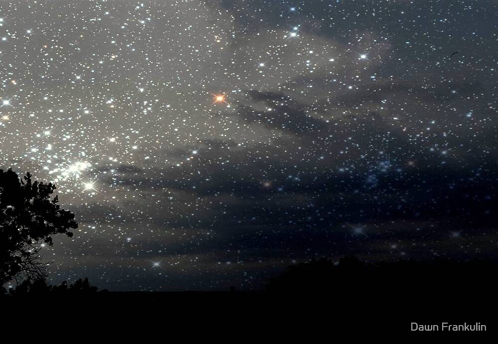 "Star Lit Night ©" by Dawn Becker | Redbubble