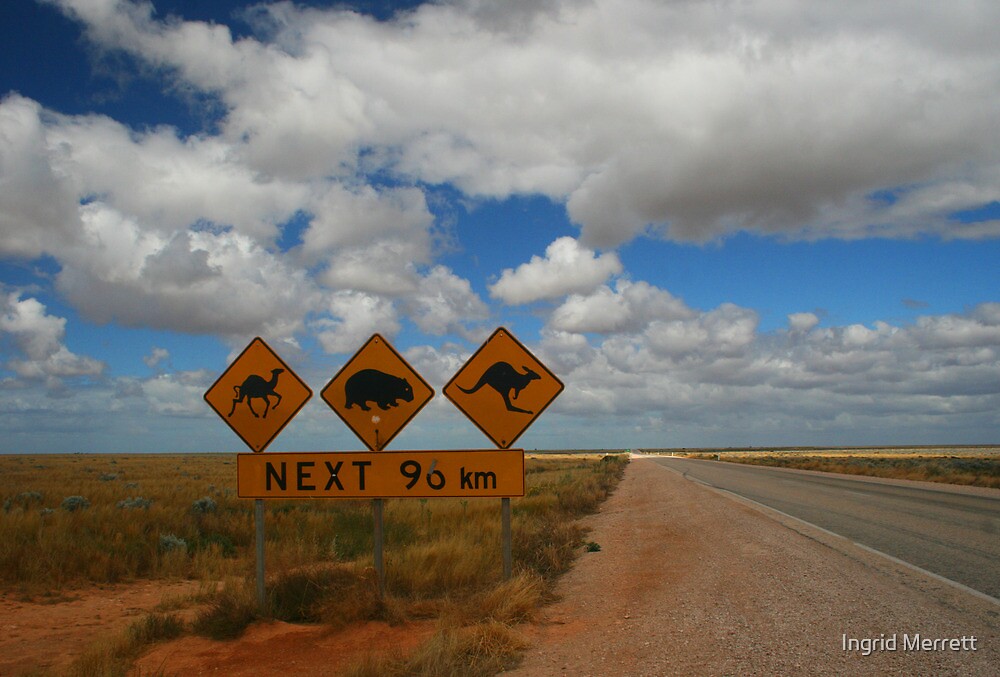 "Aussie Signs" by Ingrid Merrett | Redbubble