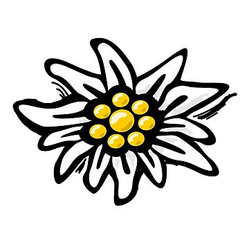 "Edelweiss " Sticker for Sale by pda1986 | Redbubble