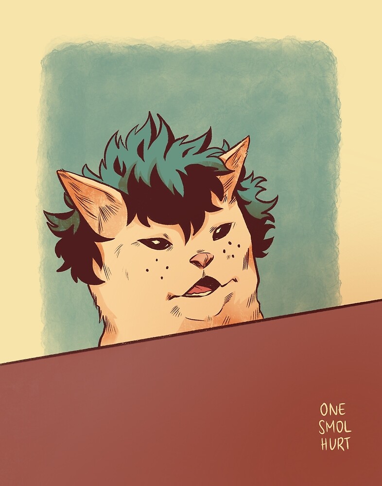 "Deku Cat" by Onesmolhurt | Redbubble