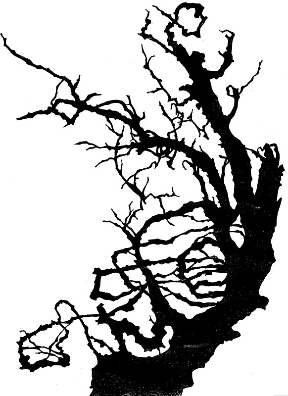 "Gnarly Tree" by ellejayerose | Redbubble