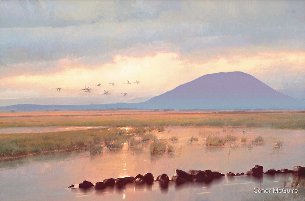 "Nephin Dawn, Lough Conn, County Mayo" by Conor McGuire | Redbubble