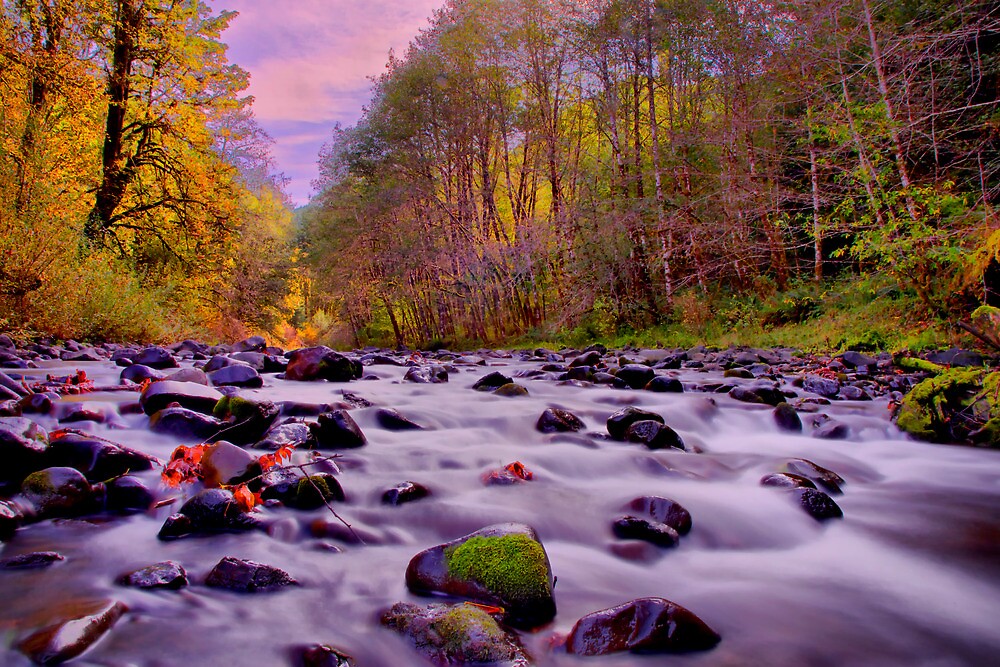 "Calapooya Afternoon" by Charles & Patricia Harkins ~ Picture Oregon ...