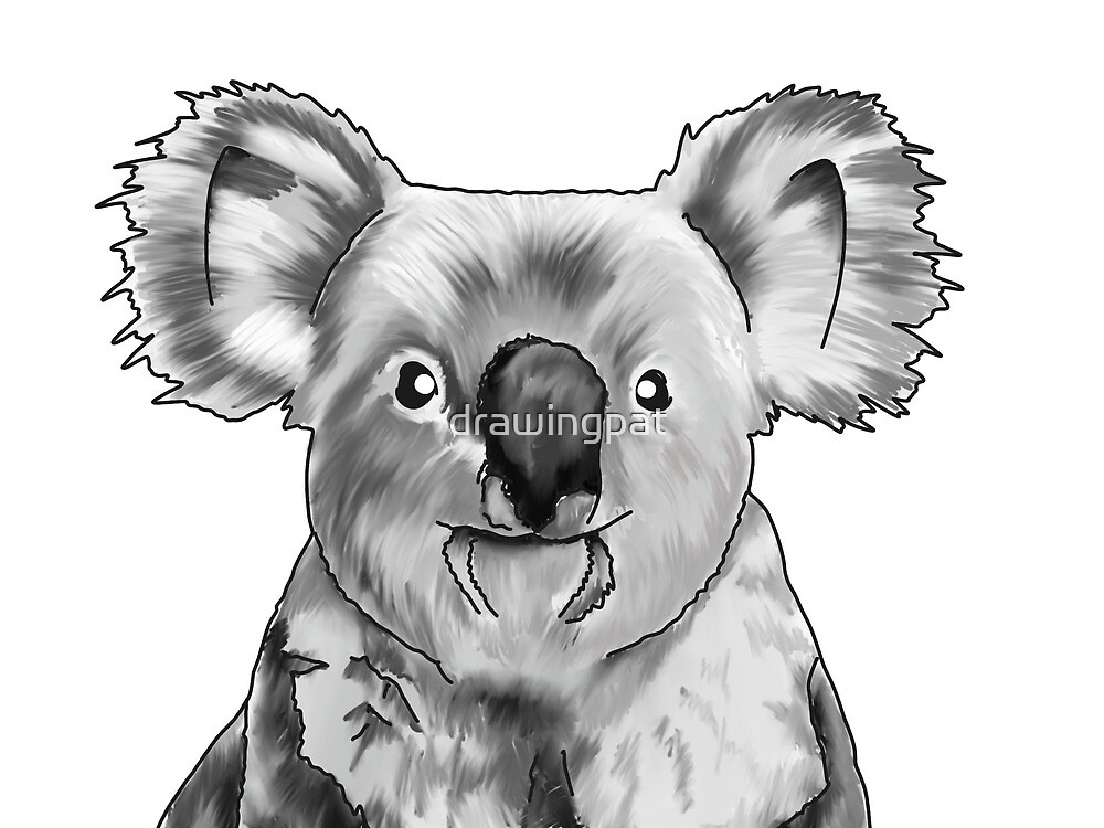 "Cute Koala Sticker - BUSHFIRE RELIEF" by drawingpat | Redbubble