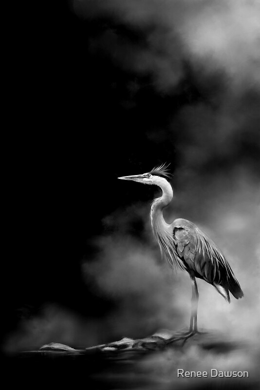 "Heron in the Mist" by Renee Dawson | Redbubble