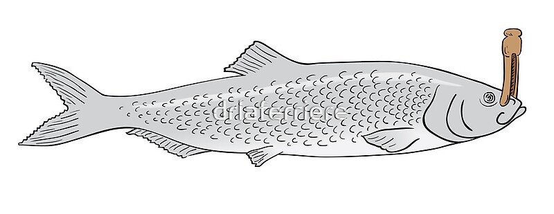 "Stinky Fish" by David Laferriere | Redbubble