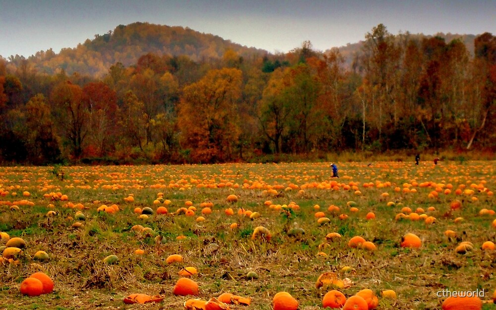 "A Fall Scene - PUMPKIN PATCH ^" by ctheworld | Redbubble
