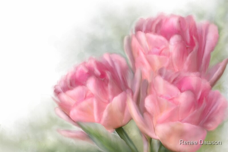 "Angelique Tulips" by Renee Dawson | Redbubble