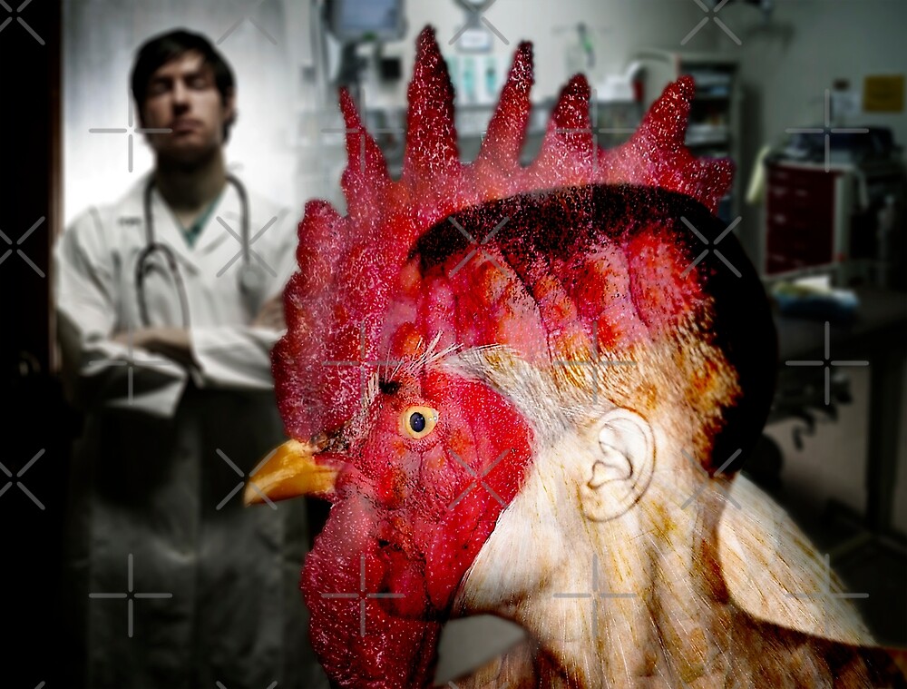 "Why Did The Chicken Cross The Road? The Sue Lowden Story." by Alex ...