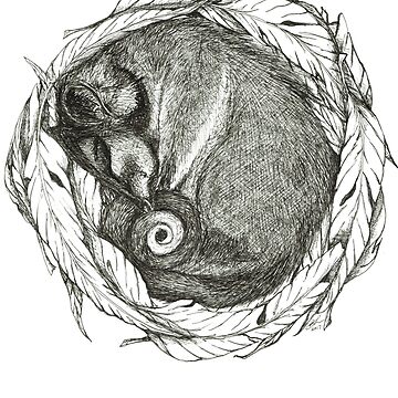 "Ringtail possum" Art Board Print for Sale by Bree Thomas | Redbubble
