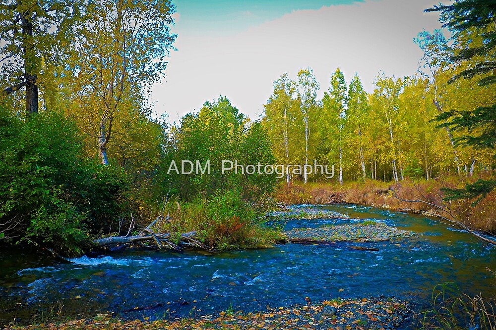 "Autumn Stream Alaska " by ADM Photography | Redbubble