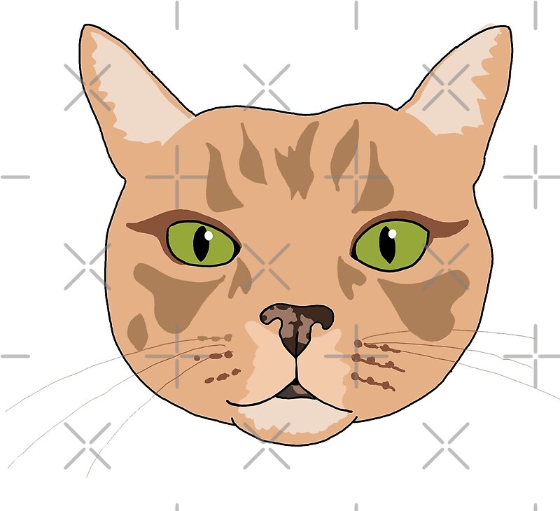 "Hamish The Cat" by emilydevineart | Redbubble