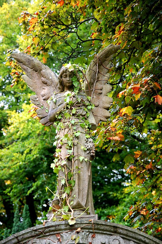 "Autumn Angel" by RSMphotography | Redbubble