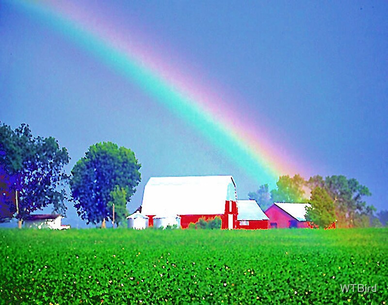 "Rainbow Farm" by WTBird | Redbubble