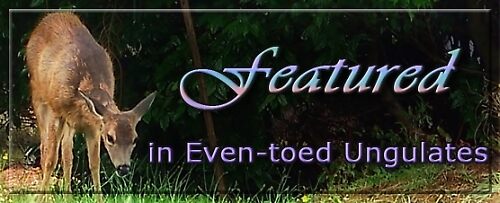 "ETU Feature Banner" by rocamiadesign | Redbubble