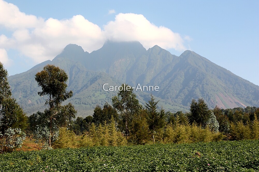 "Mount Sabinyo, Kinigi, Volcanoes National Park Rwanda " by Carole-Anne ...