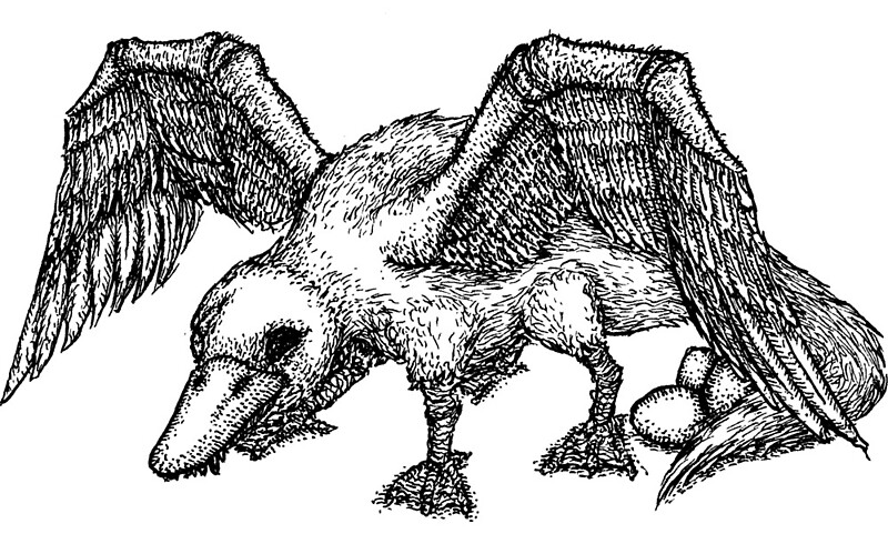 "Duck Wyvern" by weebssoftly | Redbubble