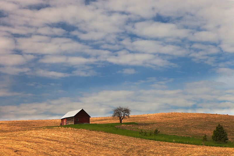 "Palouse barn and tree" by Steve Biederman | Redbubble
