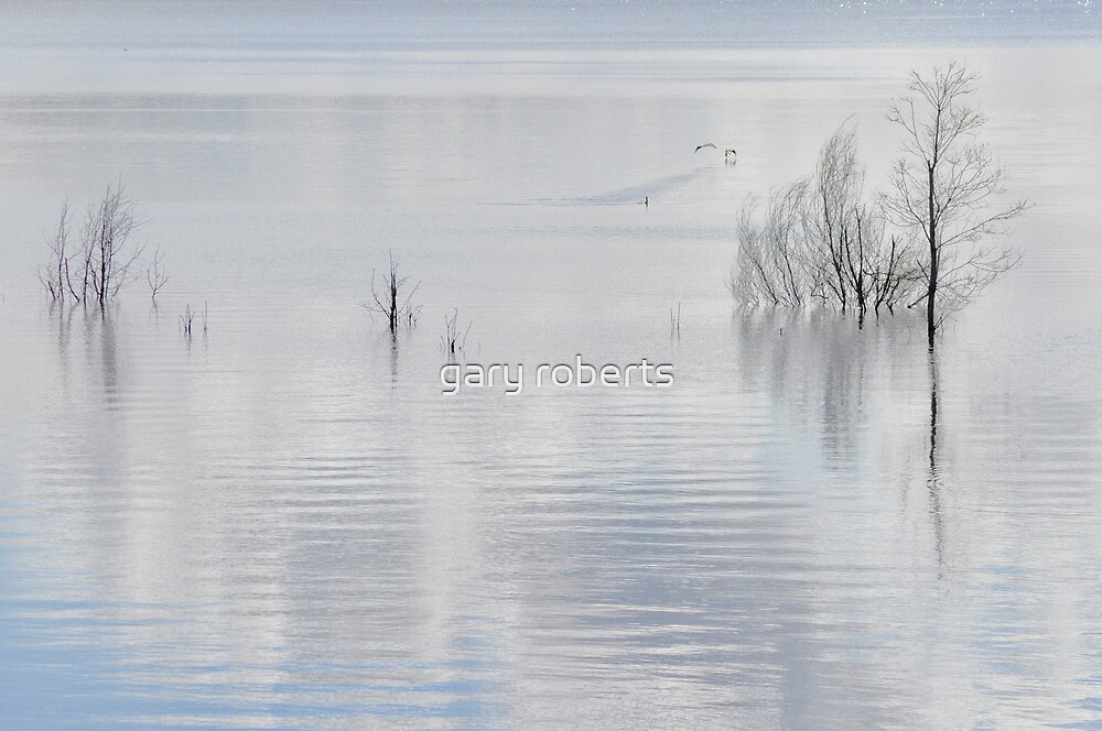 "lake samsonvale, queensland, australia" by gary roberts | Redbubble