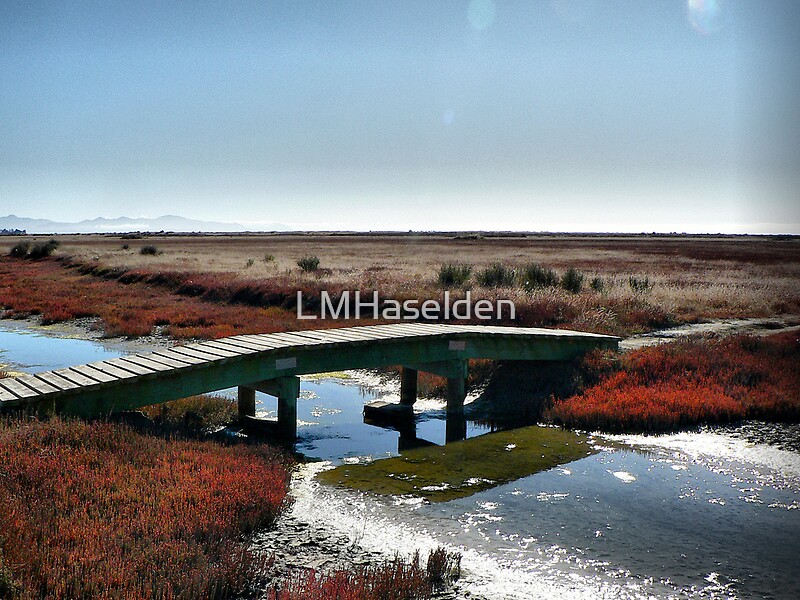 "Salt Marsh - Blenheim, New Zealand." by LMHaselden | Redbubble