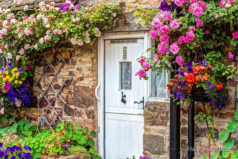 "Colorful country house with flowers" by HaleyRedshaw | Redbubble