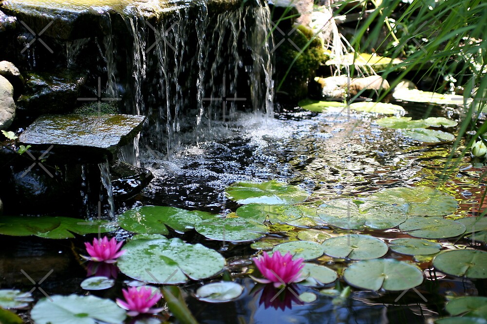"Tropical jungle pond" by mikrin | Redbubble