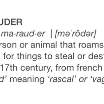 "Marauder Definition" Sticker for Sale by morganaallen | Redbubble