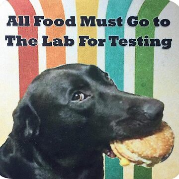 "All Food Must Go To The Lab For Testing" Sticker for Sale by Reboot ...