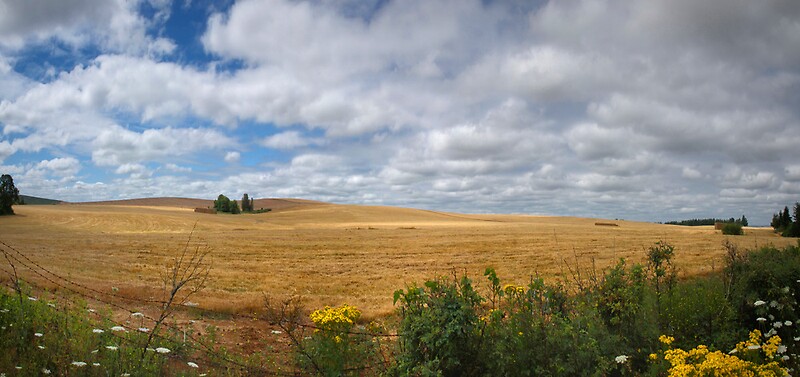 "Wide Open Spaces ~ Howell Prairie Road ~" by Charles & Patricia ...
