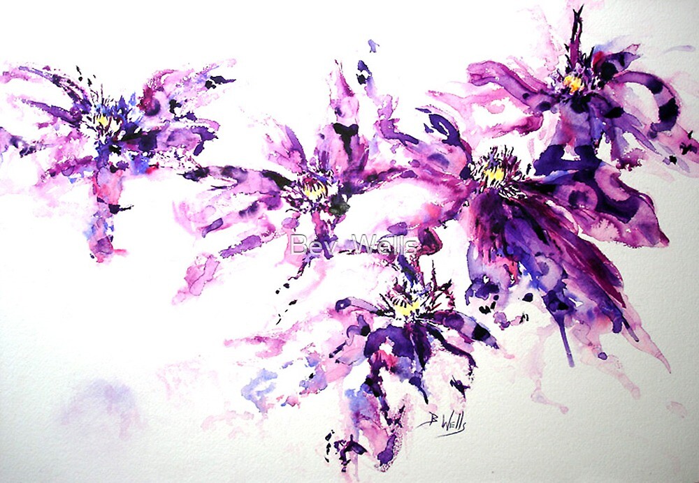 "Wild-Clematis" by Bev Wells | Redbubble