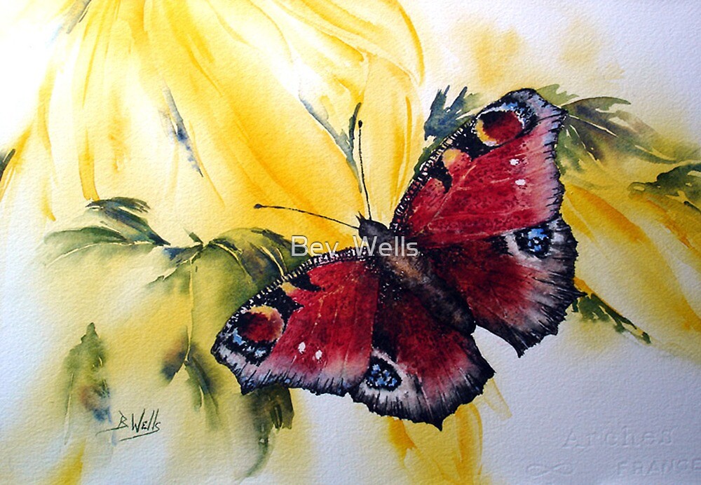 "Butterfly-" by Bev Wells | Redbubble
