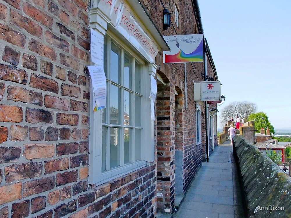 "Antique Book & Collectors Shops on the Roman Walls, Chester" by ...
