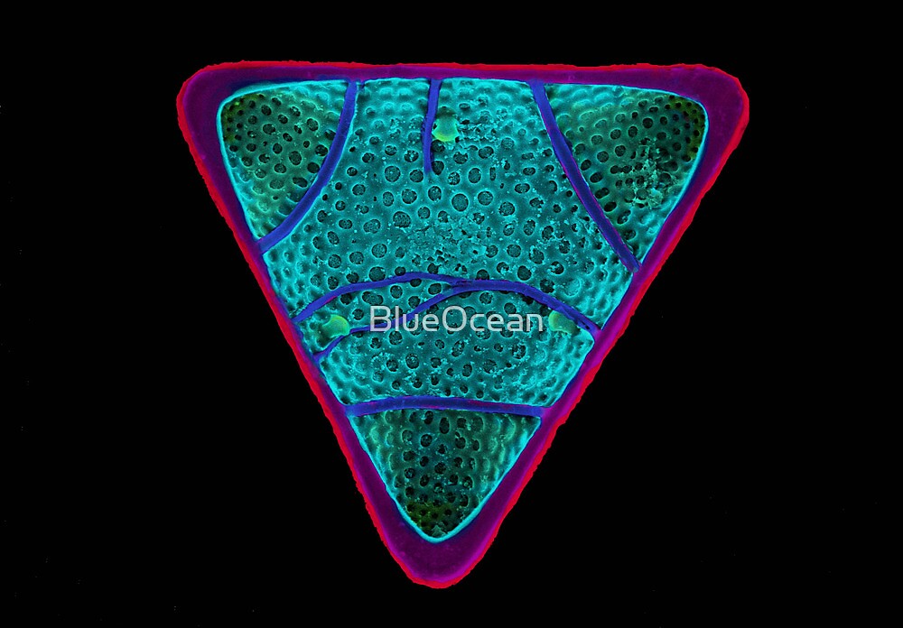 "Midnight Triangle" by BlueOcean | Redbubble