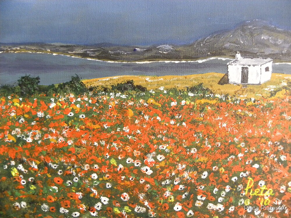 "Weskus Nasionale Park" by Pieta Pieterse | Redbubble