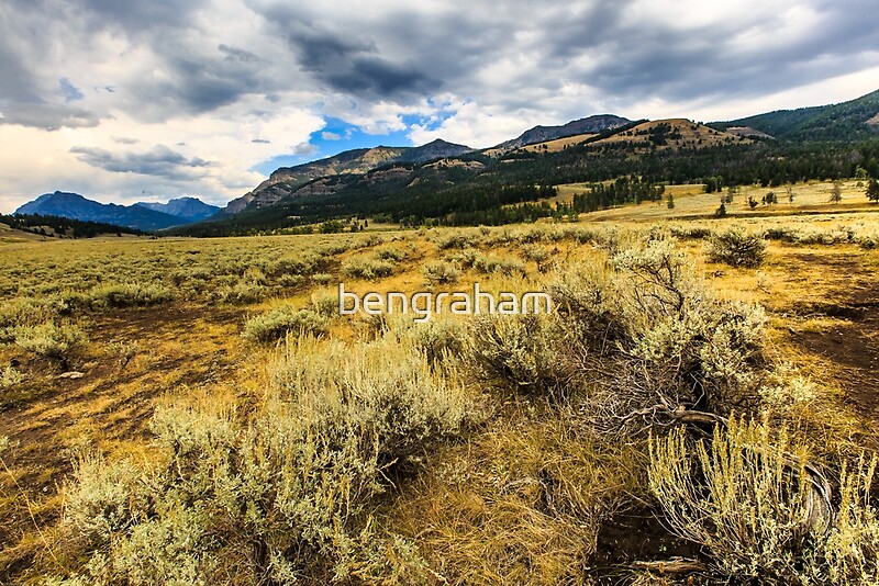 "Jackson Hole Landscape" by bengraham | Redbubble