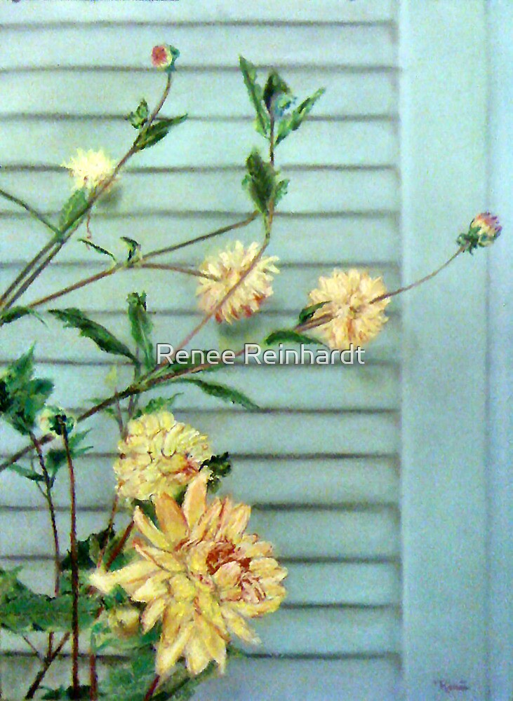 "The Neighbor's Garage" by Renee Reinhardt | Redbubble